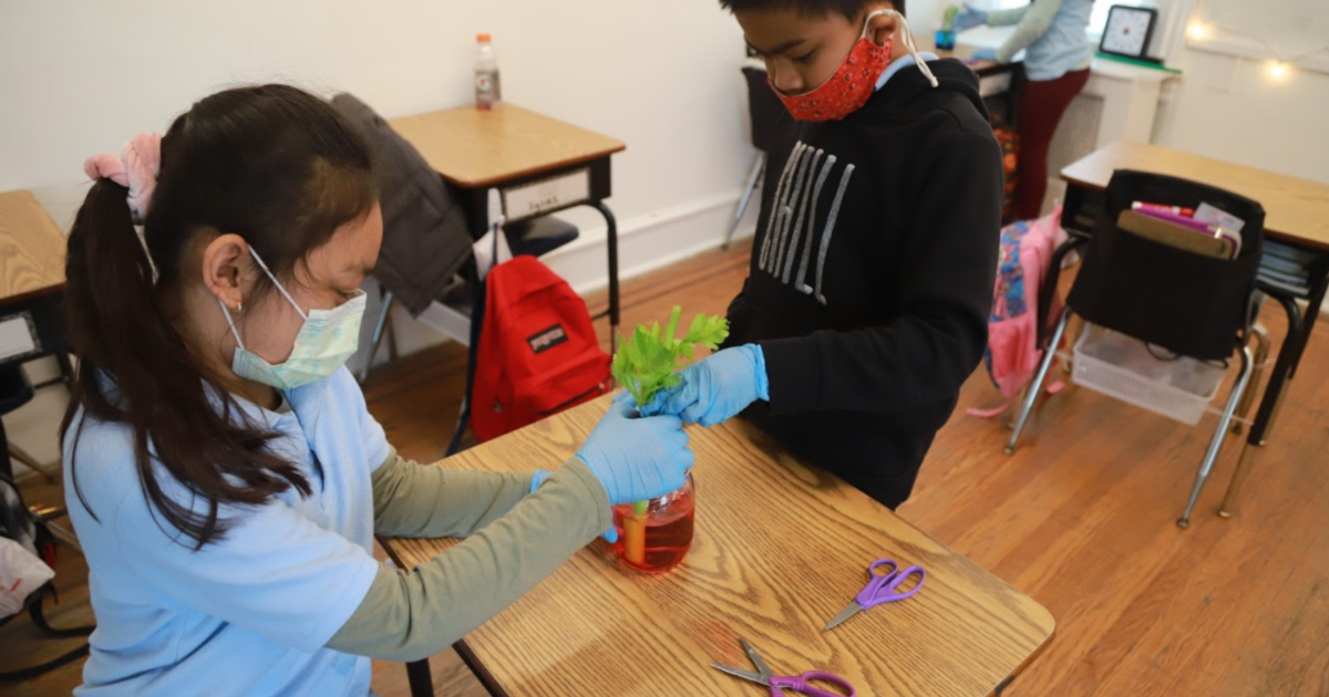 Clarissa Lawson's Instagram, Twitter & Facebook on IDCrawl