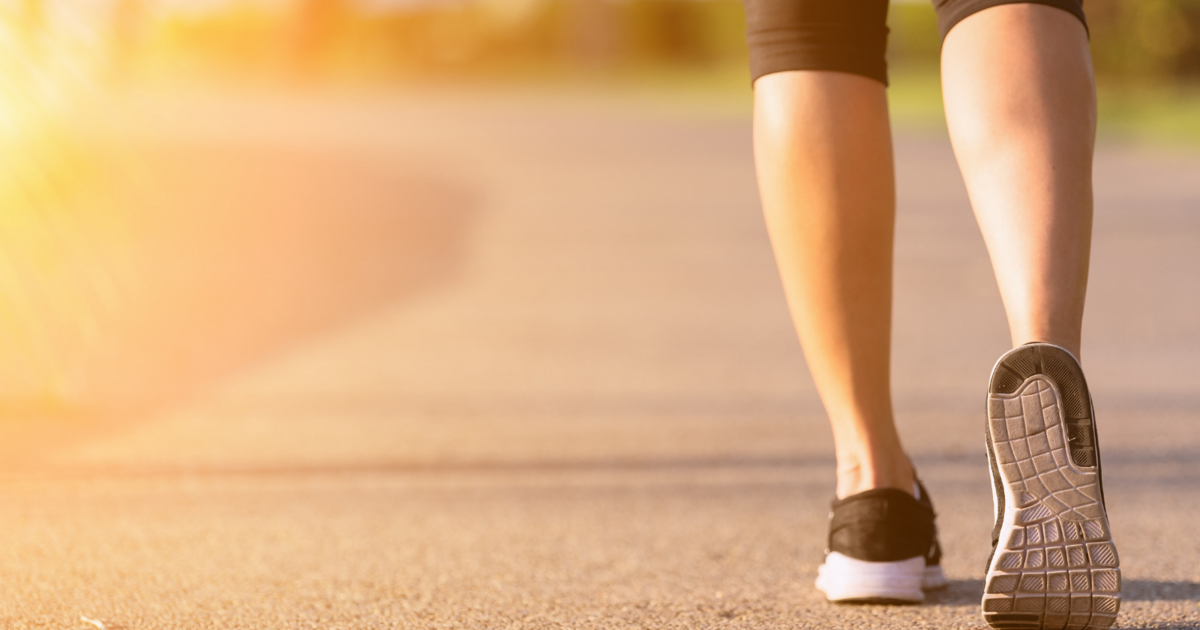 Lifestyles of Maryland Foundation Inc - FWAC Delta Sigma Theta Sorority ...