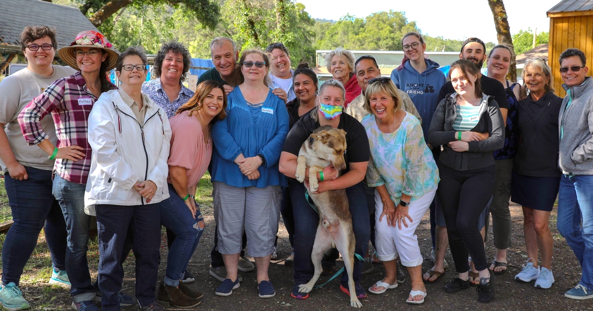 Humane Society for Inland Mendocino County - Susan Novotny's fundraiser