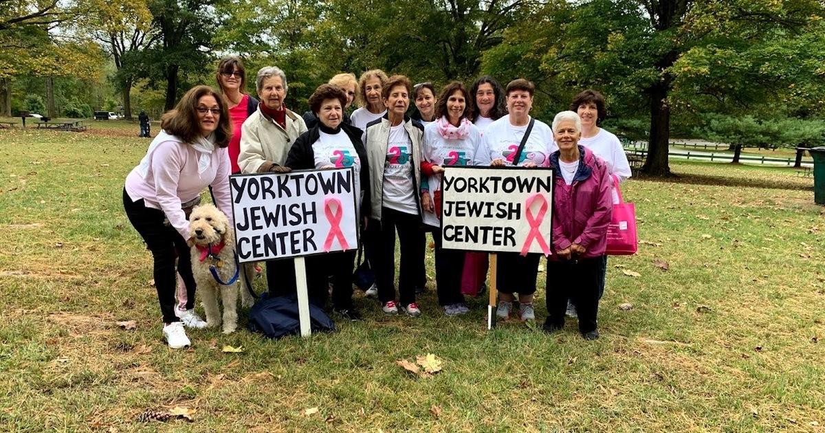 SUPPORT CONNECTION INC - Suzanne Stein's YJC fundraiser