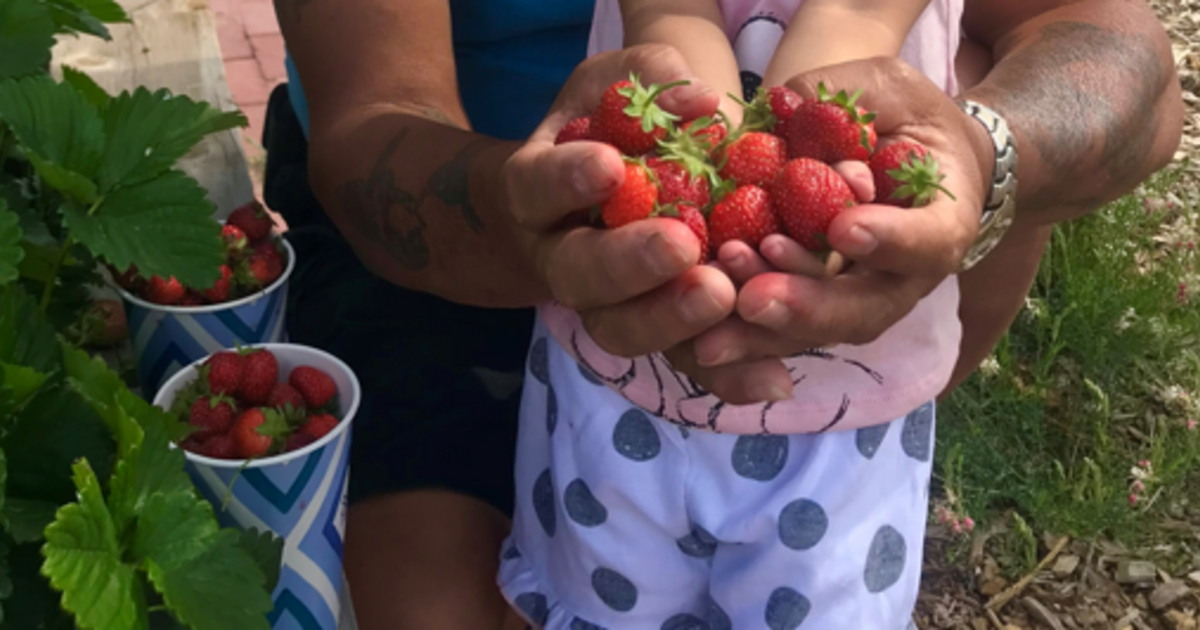 Rio Grande Food Project - Ariel Macpherson Herring's fundraiser