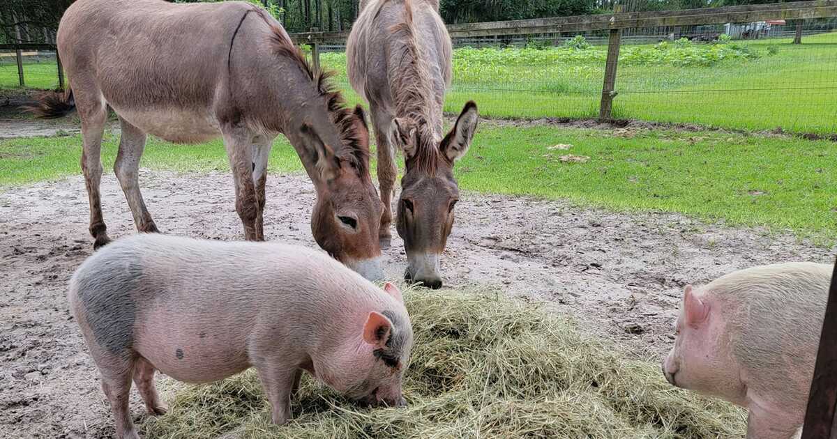 Epic Outreach Inc - Martina Sander's fundraiser