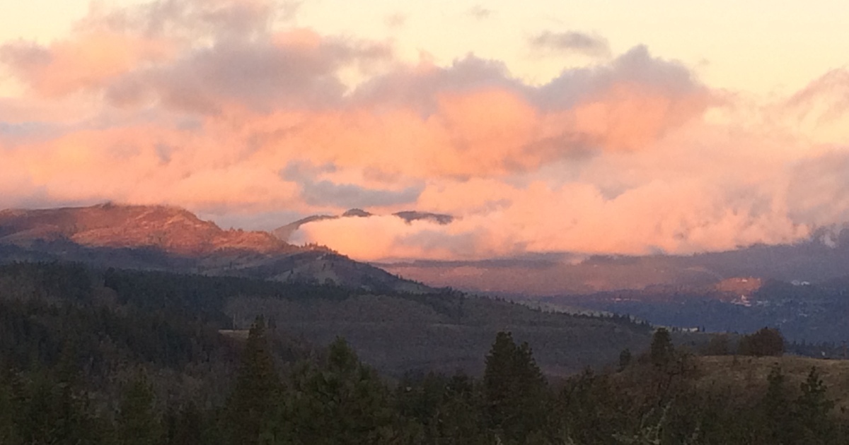 Tupelo Press - Kate Gray's fundraiser