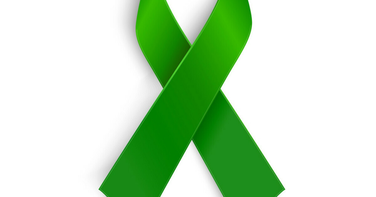 NAMI New York State Inc - Robin B. Tassinari, MD's fundraiser