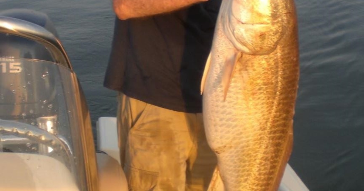 C.A.S.T. for Kids Foundation - Kim Creager Mulvaney's fundraiser