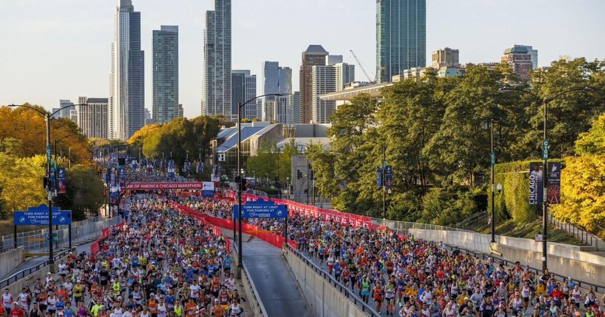 Children's Brain Tumor Foundation, Inc. - Elissa Letterio's fundraiser