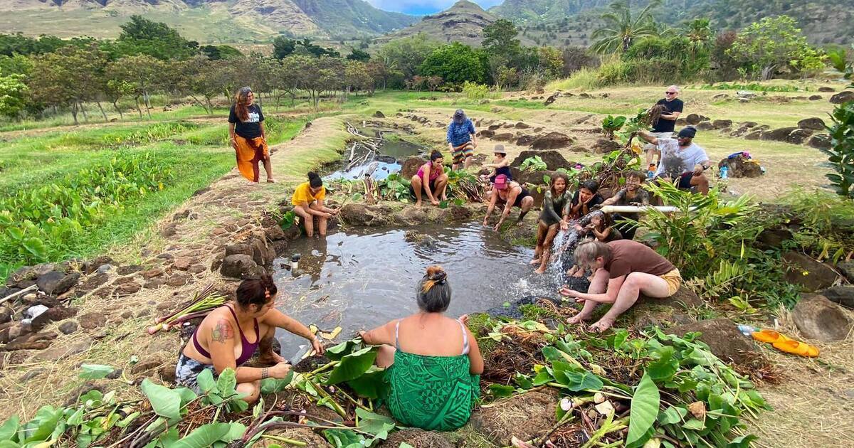 Hawaii Peoples Fund - Karima Daoudi's Hawaii People's Fund Fundraiser