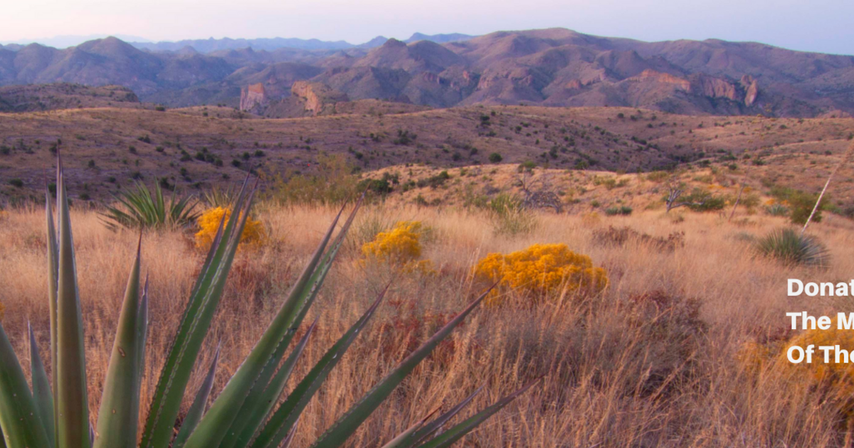 CREATIVE VISIONS FOUNDATION - Nature Is My Teacher - Donate to the ...