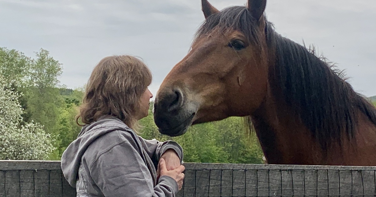 Tomten Farm and Sanctuary of New Hampshire - June Tomten Tour.