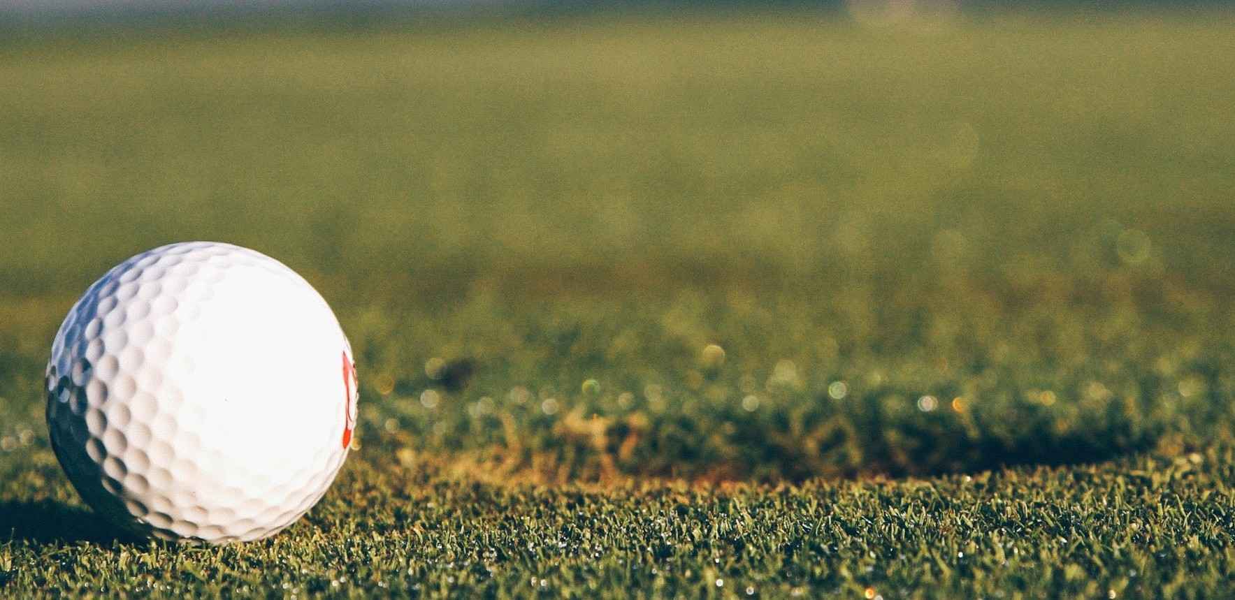 Canine Partners for Life - The 24th Annual Spring Golf Tournament