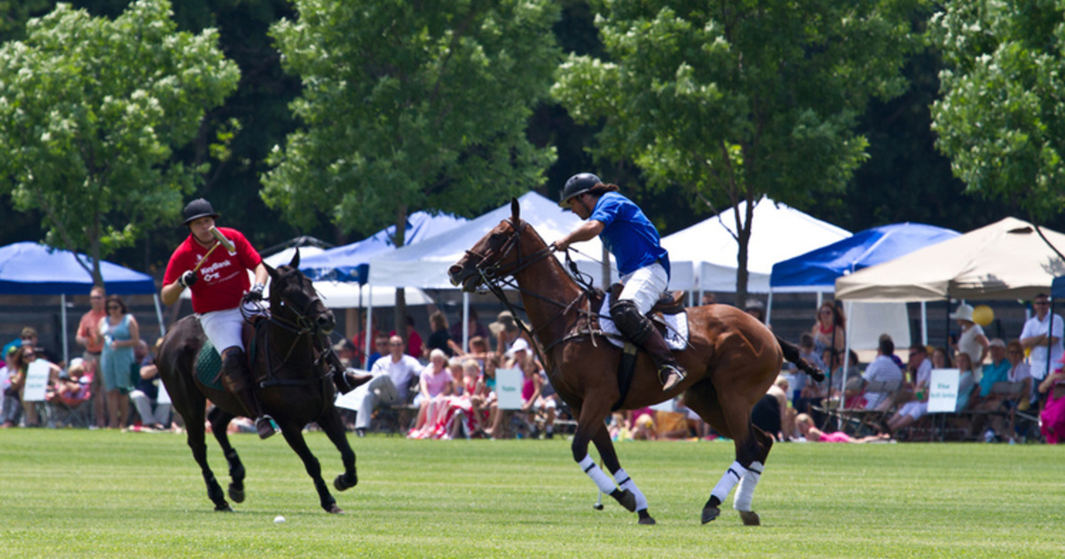 Indiana Youth Rugby Foundation / Rugby Indiana - Polo on the Prairie - 2020