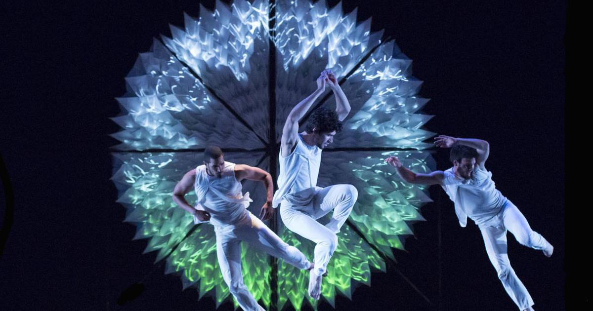 Hedwig Dances Inc - Creating ASCENDance