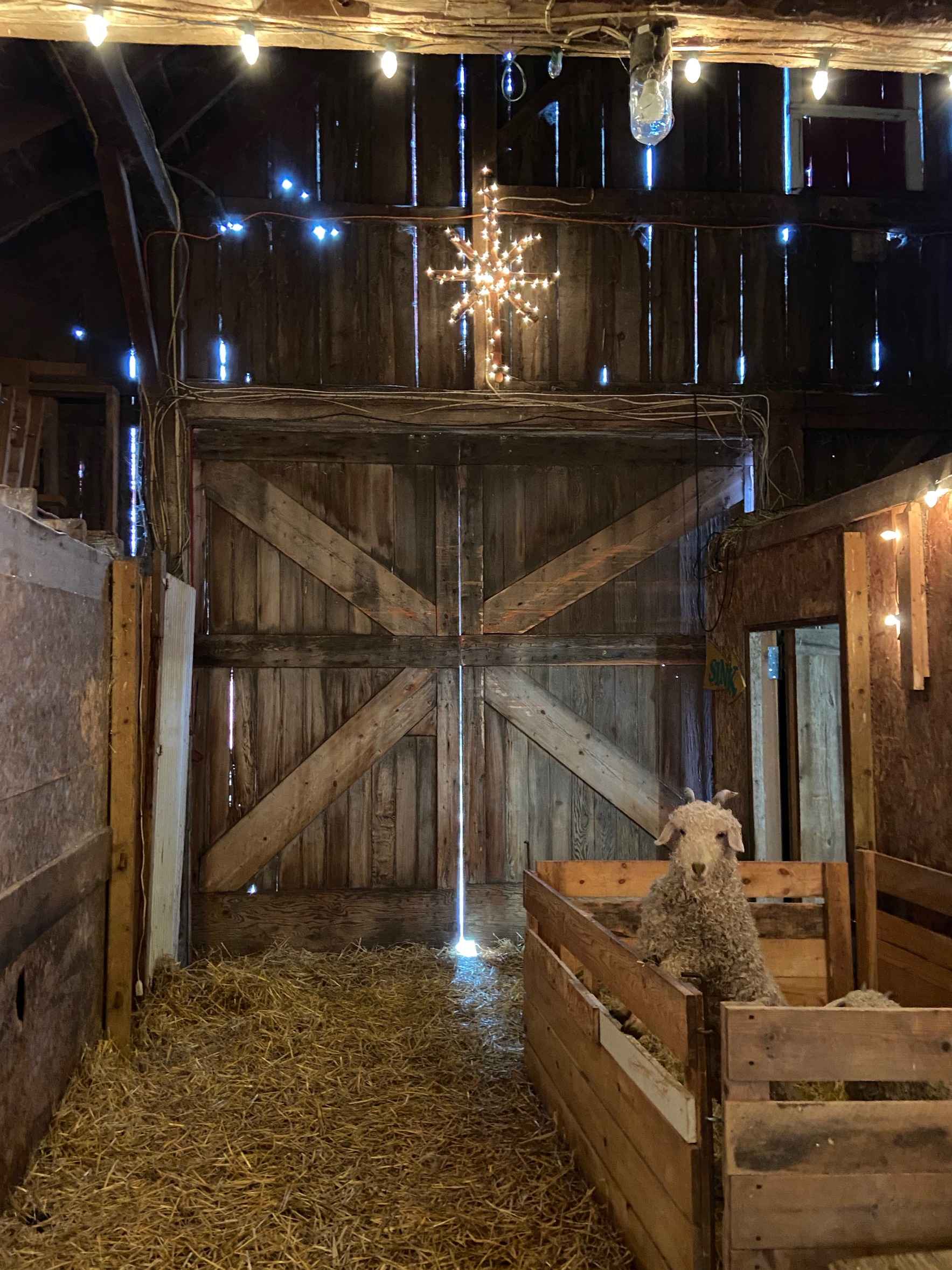 Critter Barn - Visit Critter Barn's Nativity Walkthrough!