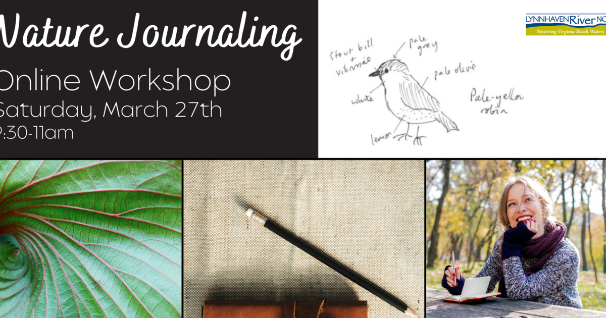 Lynnhaven River NOW - Program -- Nature Journaling Online Workshop