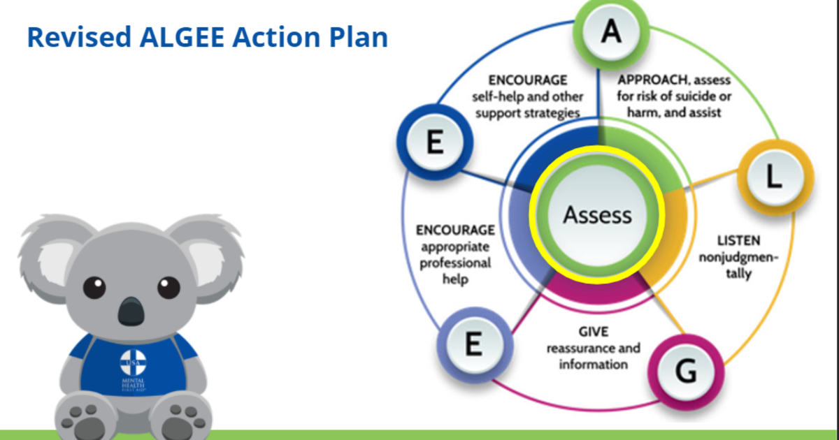 Rye Youth Council Inc - Youth Mental Health First Aid Training for Adults