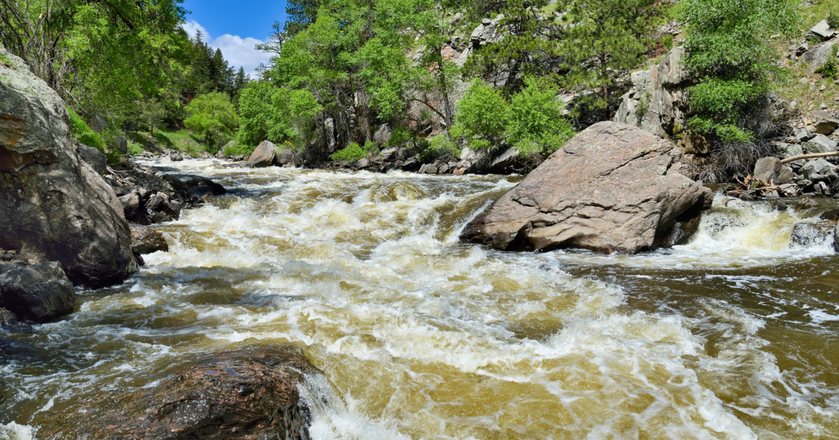 COALITION FOR THE POUDRE RIVER WATERSHED - Poudre Peak Flow Contest 2021
