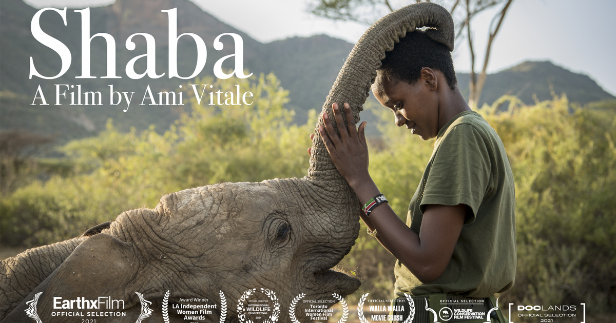The Sarara Foundation - Shaba, The Film