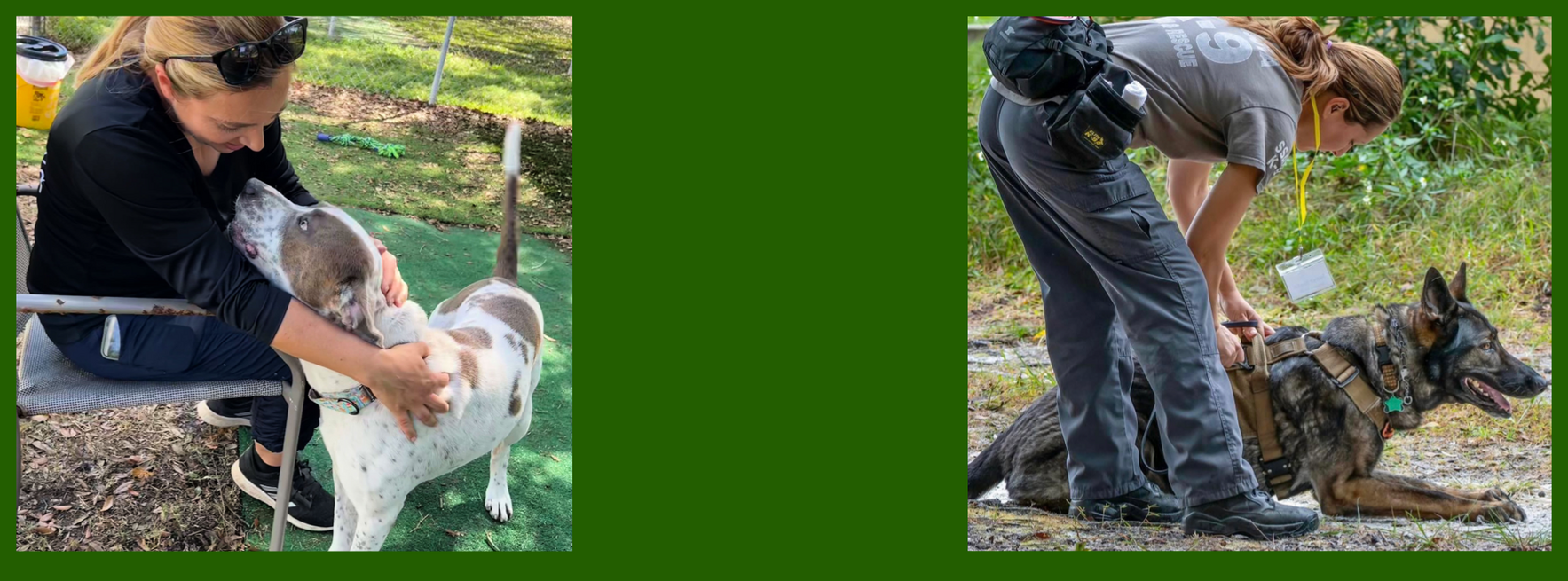 Satchels Last Resort Inc - You're Invited to a Fundraising Event ...