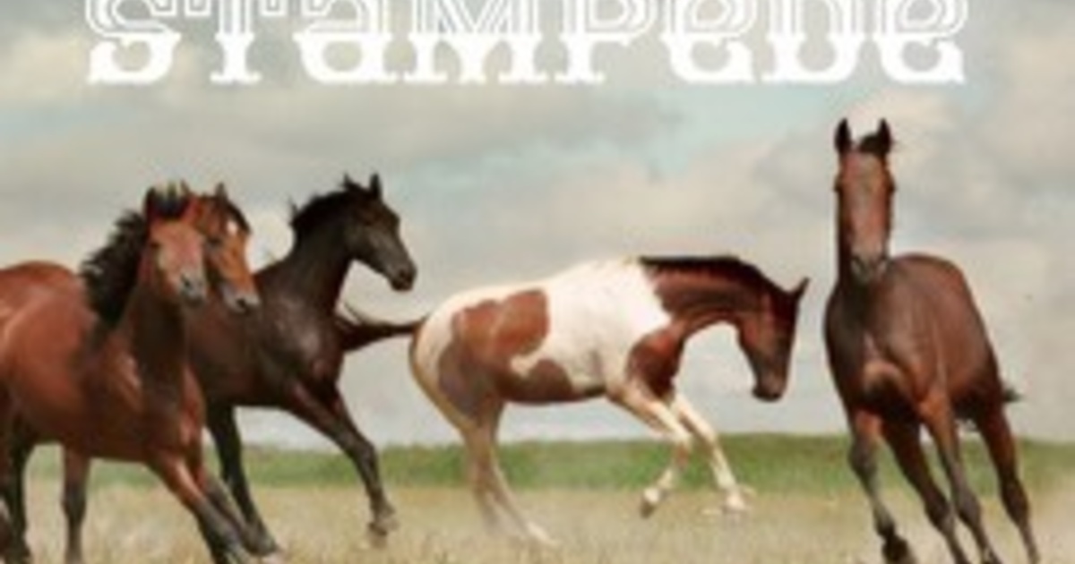 Hearts Landing Ranch - Spring Stampede