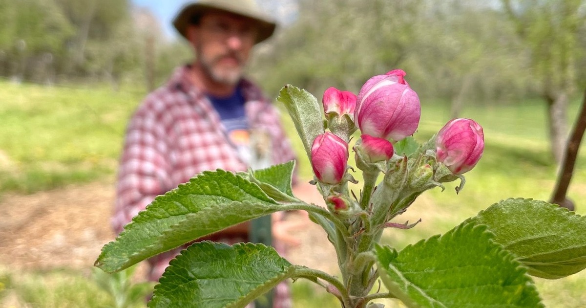 Virginia Highlands Festival - Farm Tour FREE * Tumbling Creek Company's ...