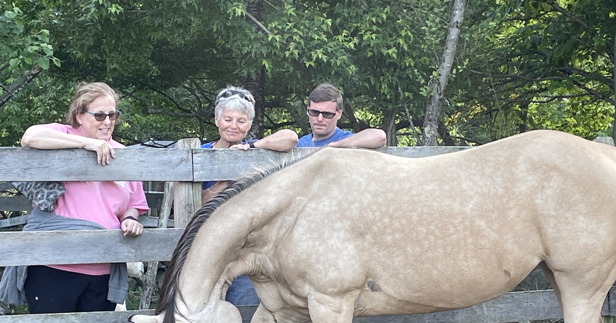 Tomten Farm and Sanctuary of New Hampshire - August 28, 2022 Tomten ...