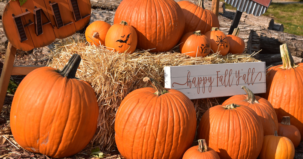 SOUTHWESTERN OHIO HEMOPHILIA FOUNDATION - 2022 SWOHF Fall Outing