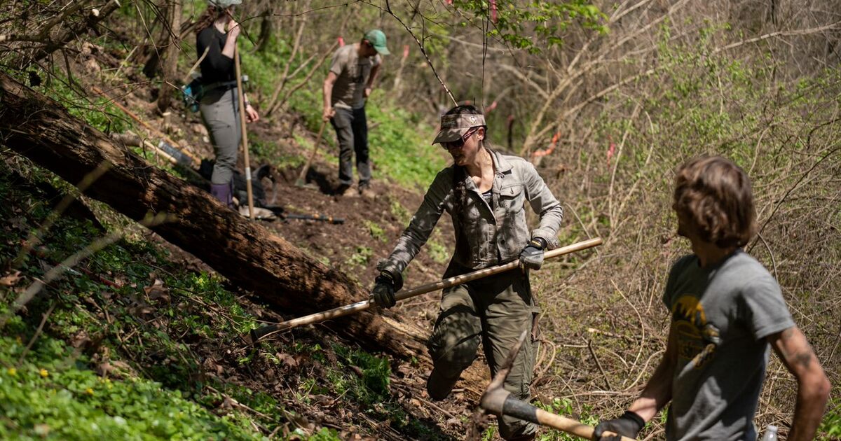 Allegheny Land Trust - Volunteer Workday Series: Girty's Woods Trail ...