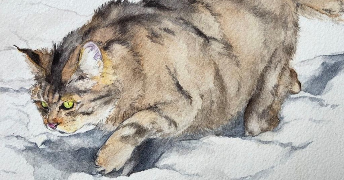 Virginia Beach Art Center Inc - X 2022-A4 - Beginners Watercolor ...