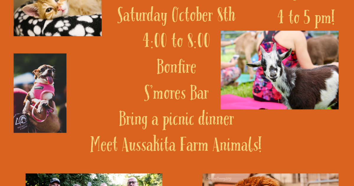 Protectors of Animals Inc. - Fall in Love with Protectors of Animals at ...