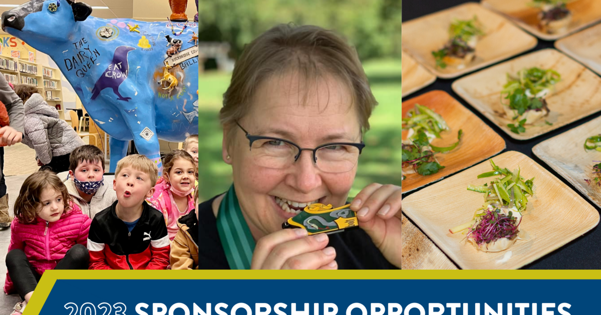 Blue Ridge CASA for Children - 2023 Blue Ridge CASA Sponsorship ...