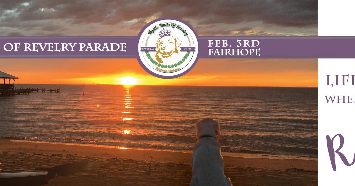 THE HAVEN - MMOR 2018 "Life's a Beach when you've been Rescued!!"