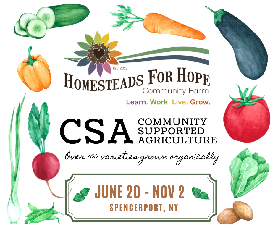 HOMESTEADS FOR HOPE INC - 2023 CSA - Tuesday Pickup