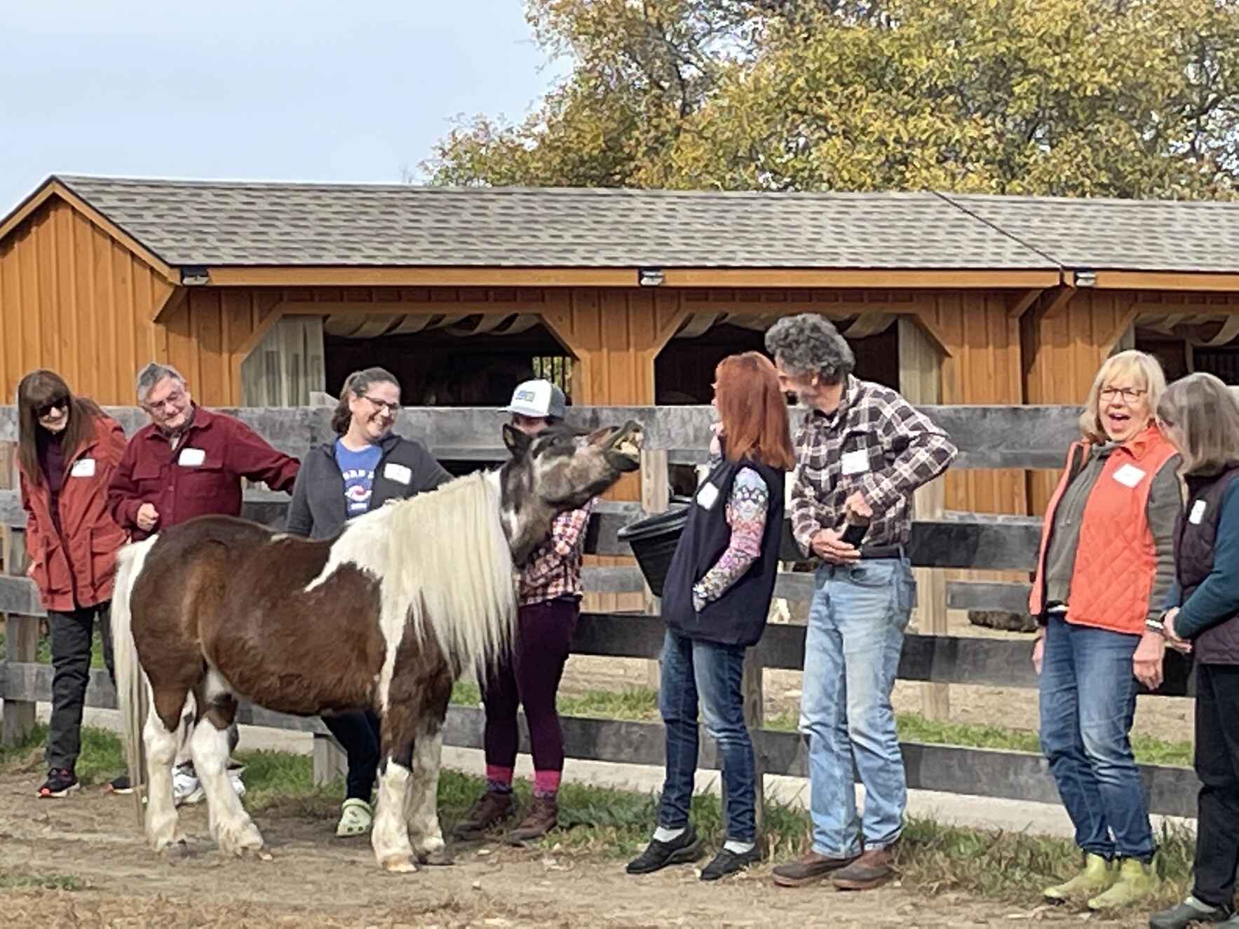 Tomten Farm and Sanctuary of New Hampshire - June 24, 2023 Tomten Tour ...