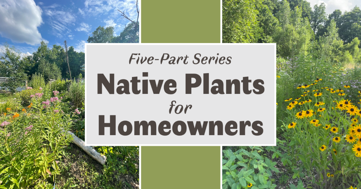 Civic Garden Center of Greater Cincinnati - Native Plants for ...