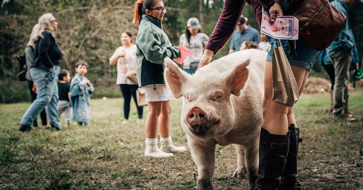 Epic Outreach Inc - Education Farm Tour