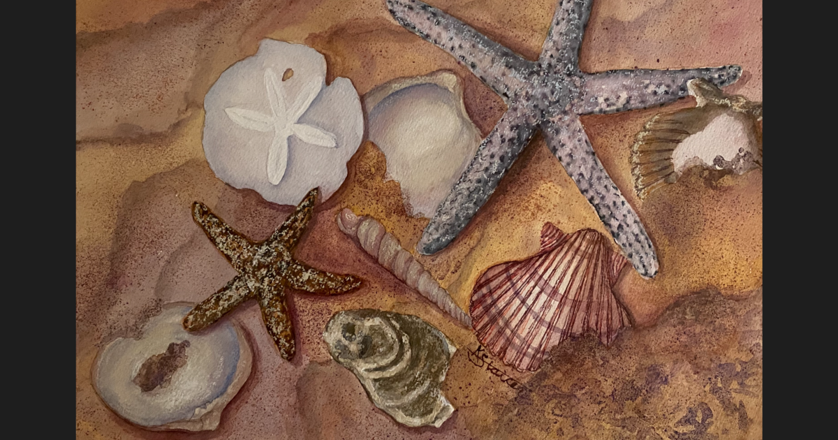 Virginia Beach Art Center Inc - X 2023-A2 - Painting Seashells in Watercolor & Mixed Media ...