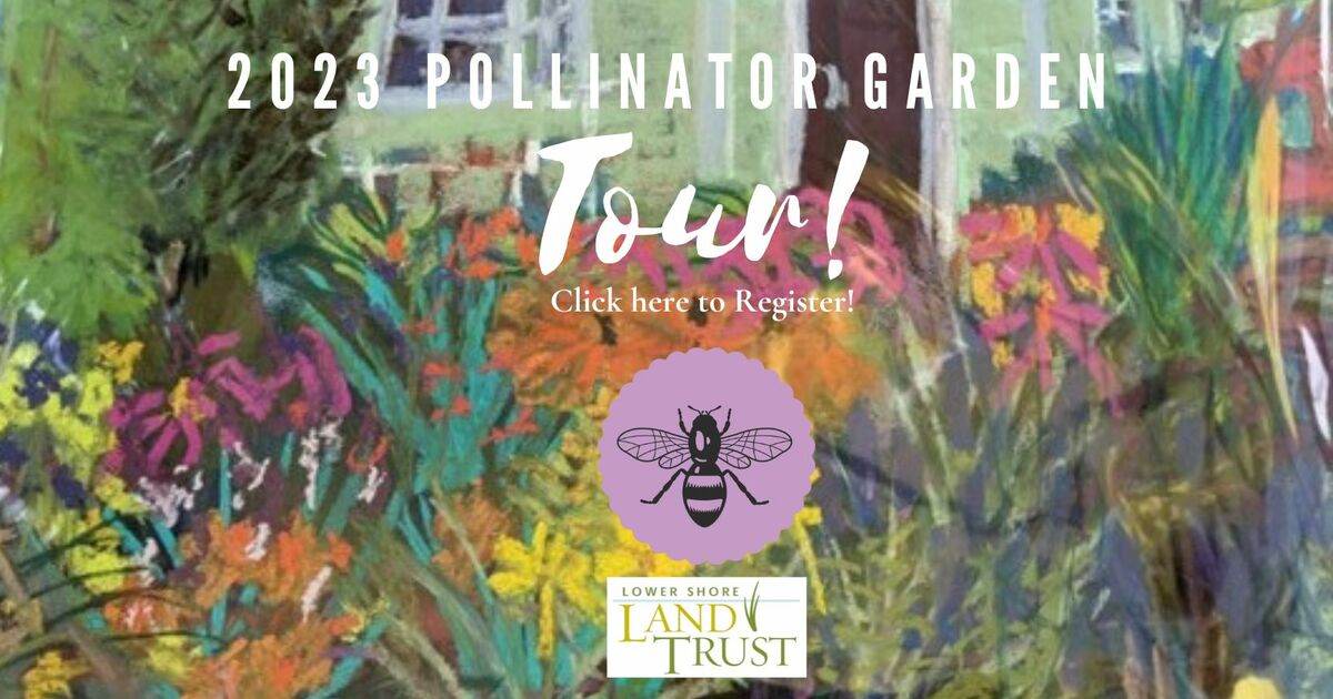 LOWER SHORE LAND TRUST - 2023 Pollinator Garden Tour