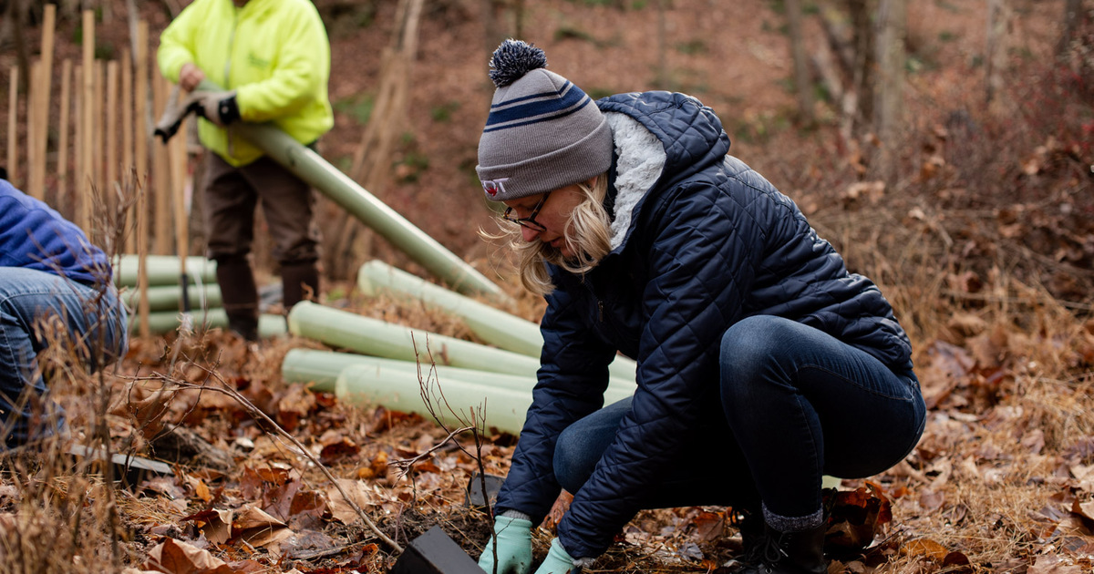 Allegheny Land Trust - Meyer Farm Tree Planting