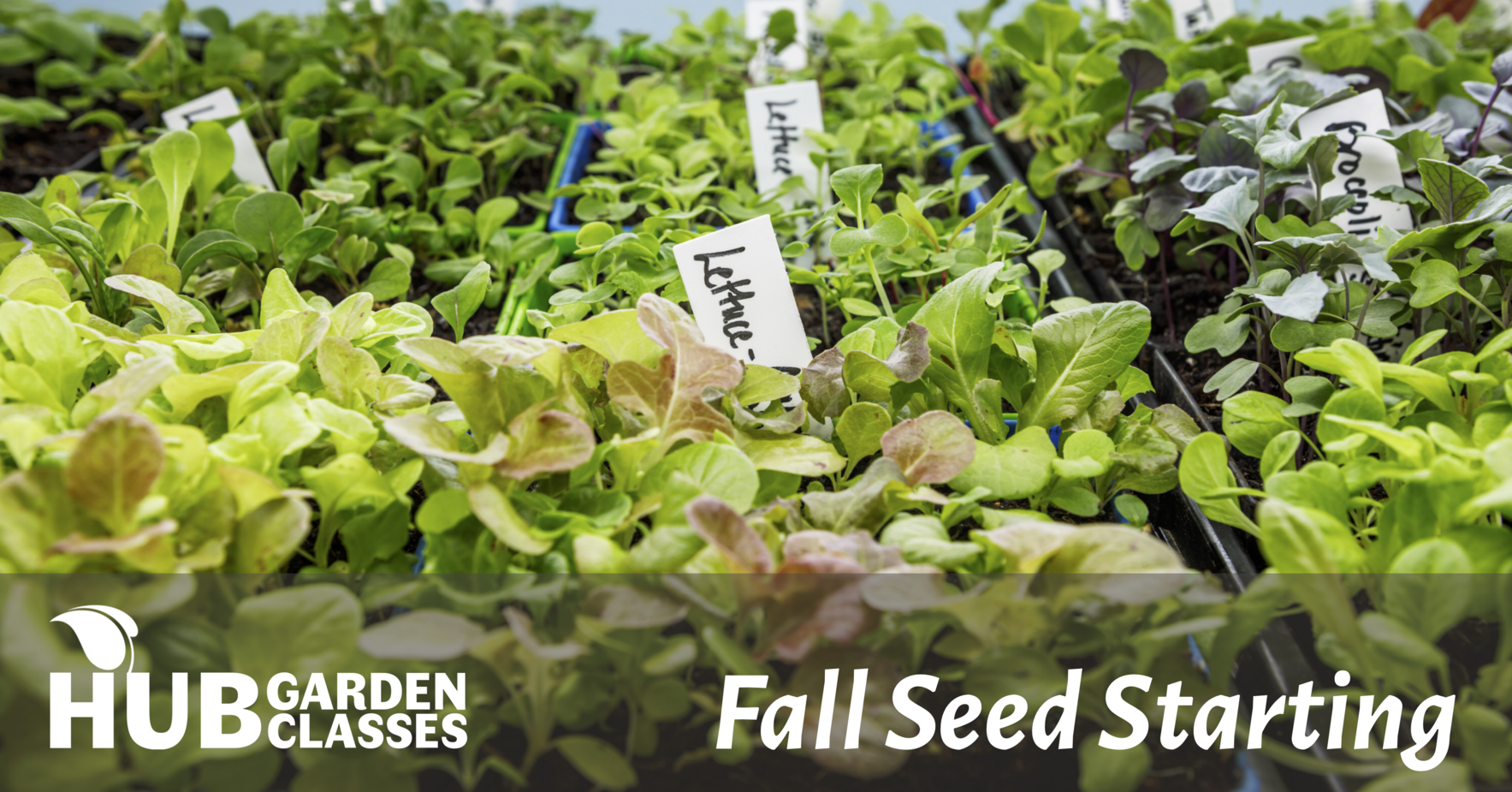 Civic Garden Center of Greater Cincinnati - HUB Garden Class: Fall Seed ...