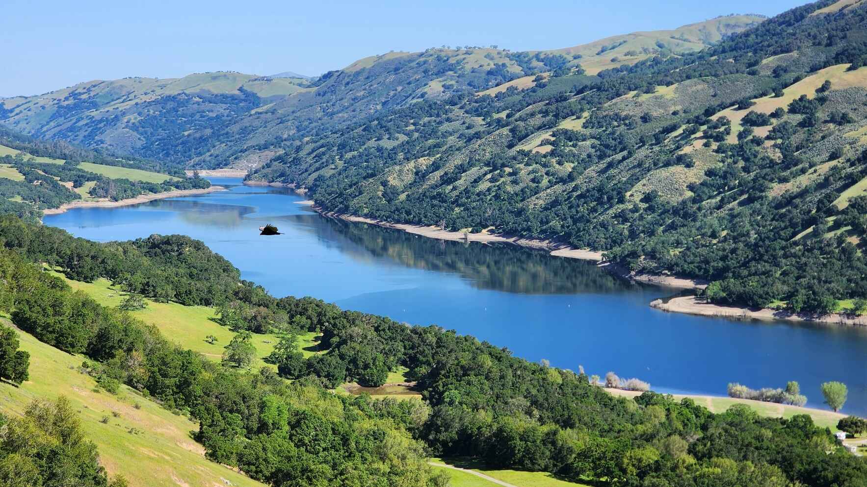 Saved By Nature - Coyote Lake Harvey Bear Ranch County Park
