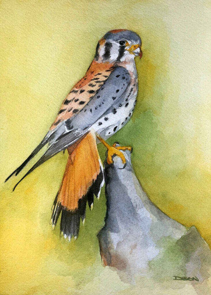 Virginia Beach Art Center Inc - Z 2022-A3 Cancelled - Watercolor Studio ...