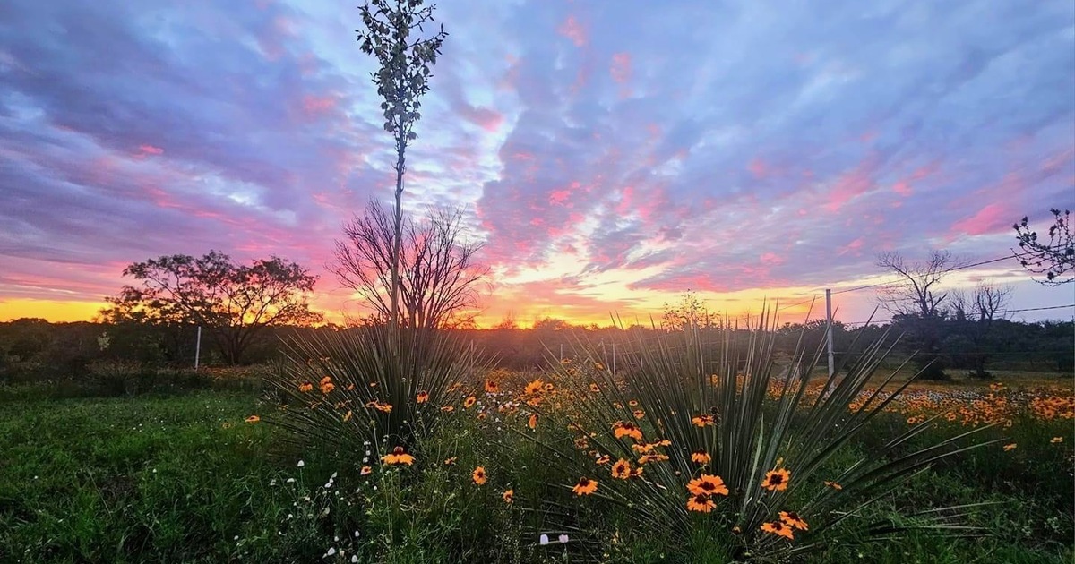 Texas Botanical Gardens & Native American Interpretive Center, Inc ...