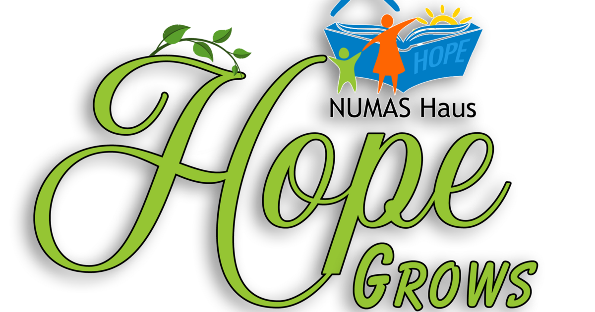 New Ulm Ministerial Association Shelter HAUS - 2023 NUMAS Haus Annual ...