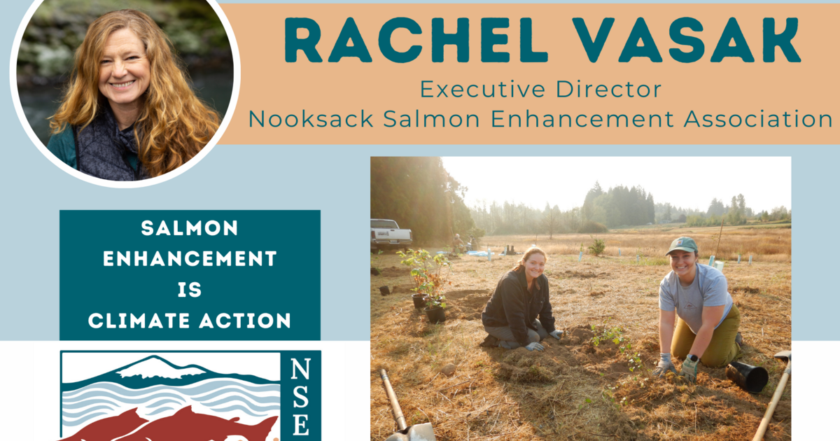 NOOKSACK SALMON ENHANCEMENT ASSOCIATION - Salmon Enhancement is Climate ...