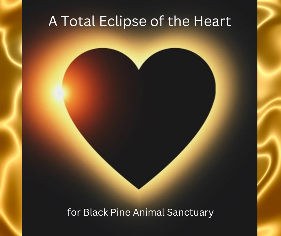 PROFESSIONAL ANIMAL RETIREMENT CENTER - Total Eclipse of the Heart