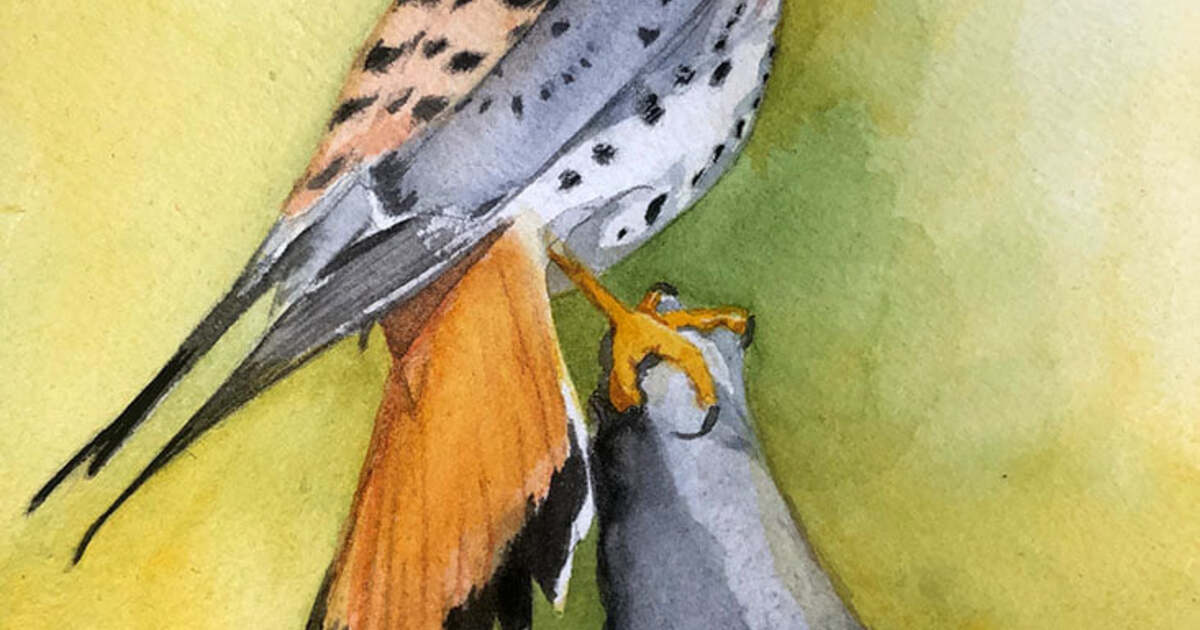 Virginia Beach Art Center Inc - X 2024-A1 - Watercolor Studio Workshop ...