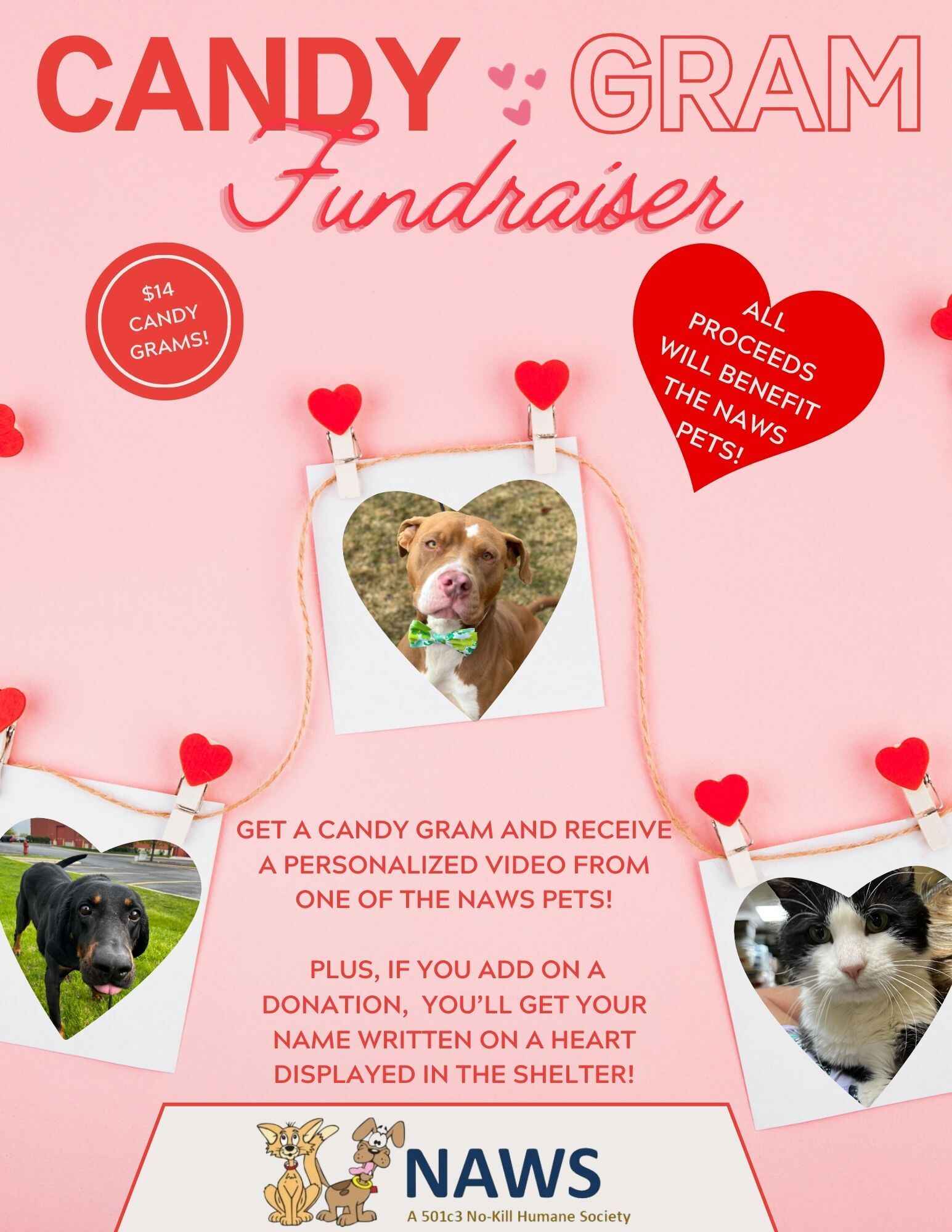 candy names for pets