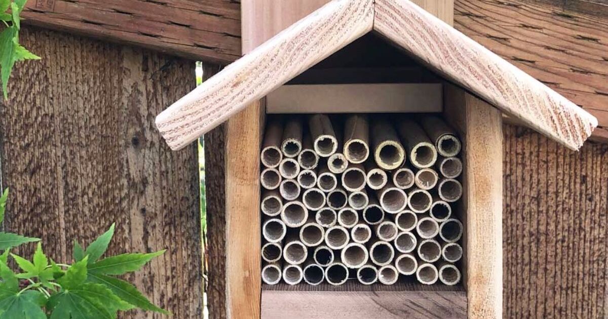 Allegheny Land Trust - Build a Bee Box and Celebrate World Bee Day!