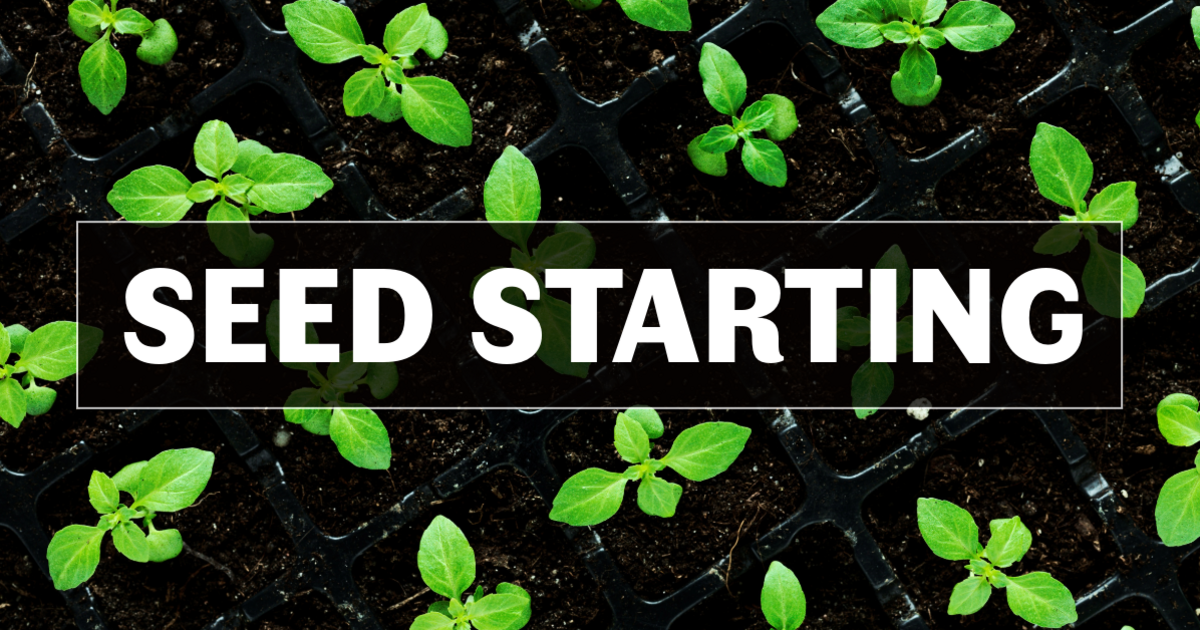 Civic Garden Center of Greater Cincinnati - Seed Starting