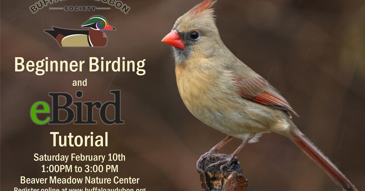 Buffalo Audubon Society Inc - Beginner Birding and eBird Tutorial ...